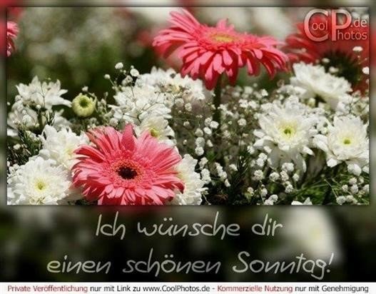 Schonen Sonntag Wunsche Ich Dir