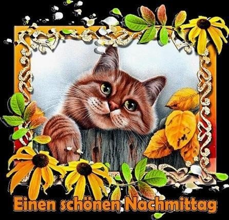 Schönen Montag Nachmittag - Liebevolle Grüße Als Bilder