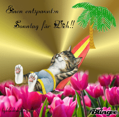 Sch nen Sonntag Gif Bilder G stebuchbilder Und Spr che Sch nen Sonntag Gif Bilder G stebuchbilder Und Spr che