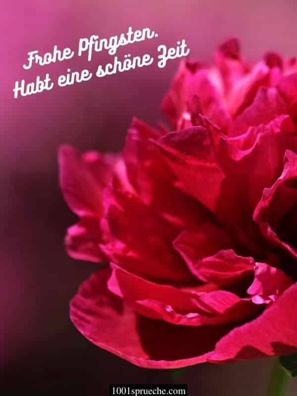 Pfingsten - Liebevolle Grüße Als Bilder