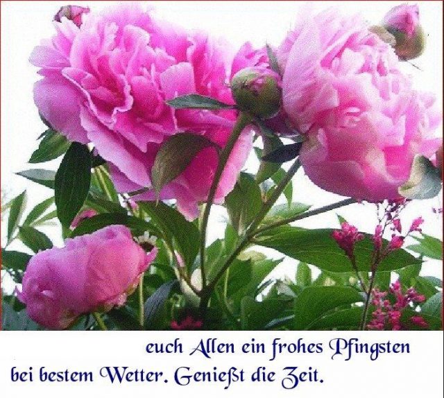 ᐅ schone pfingsten bilder lustig - Pfingsten Bilder - GB Pics ...