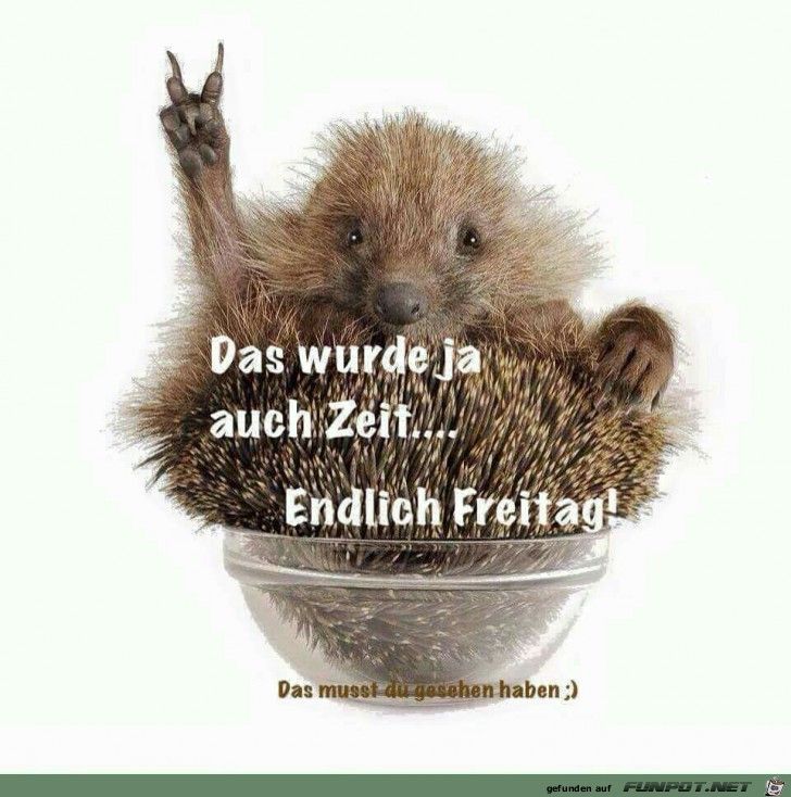 ᐅ Endlich Freitag Bilder - GB Pics - GBPicsBilder