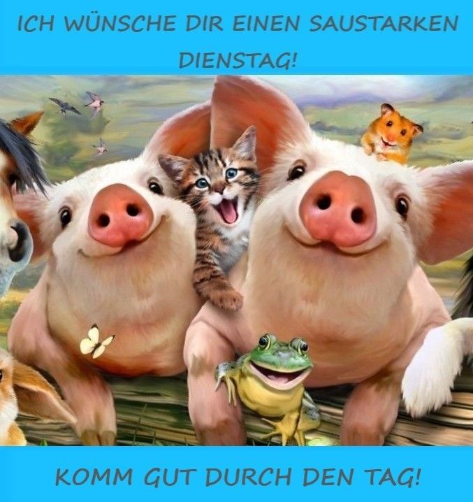 Lustige Guten Morgen Dienstag Bilder Spr che GBPics